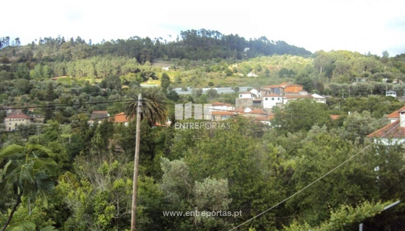 Venda Moradia V2 Restaurada, Oliveira do Douro, Cinfães