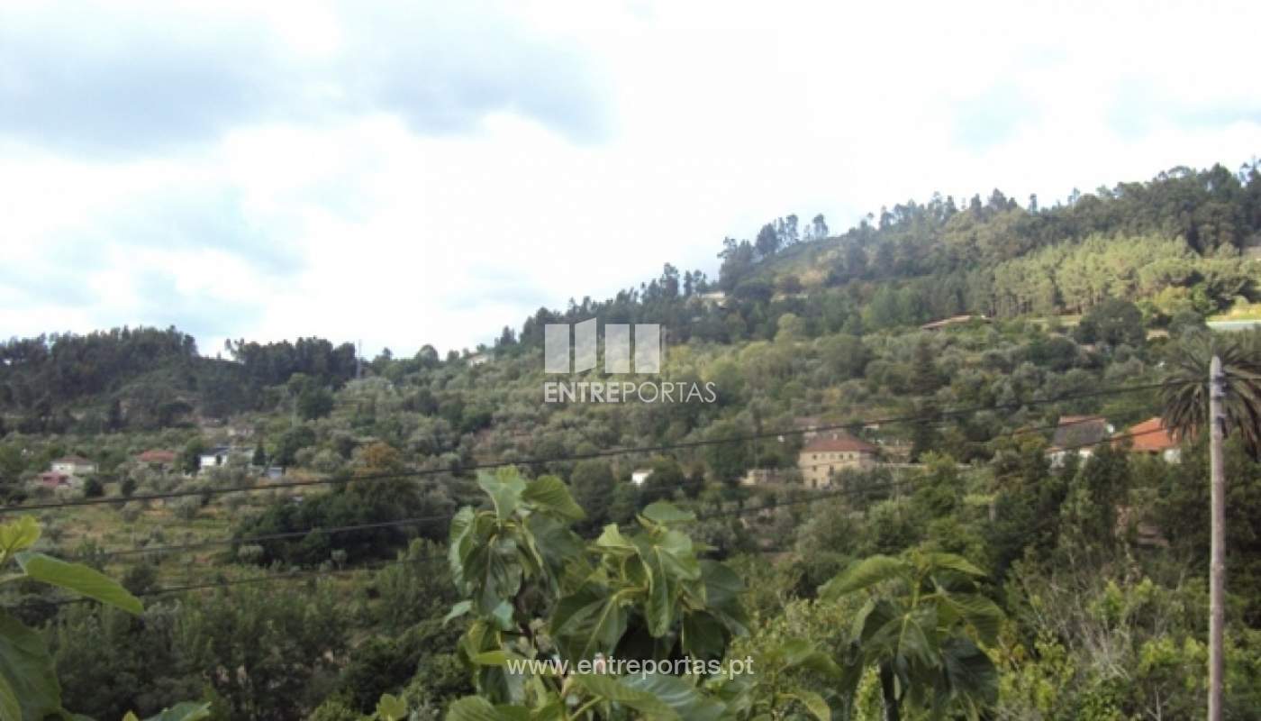 Venda Moradia V2 Restaurada, Oliveira do Douro, Cinfães